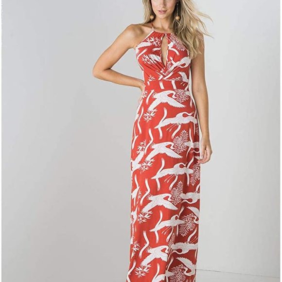 Zinzane | Dresses | Zinzane Birds Maxi Dress | Poshmark